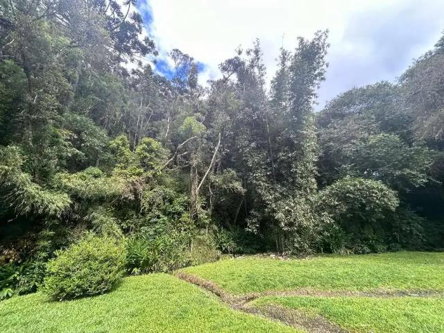 Sítio / Chácara para Venda em Campina Grande do Sul/PR Taquari