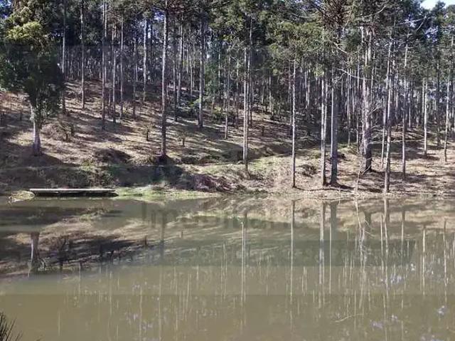 Sítio / Chácara para Venda em Campina Grande do Sul/PR Zona Rural