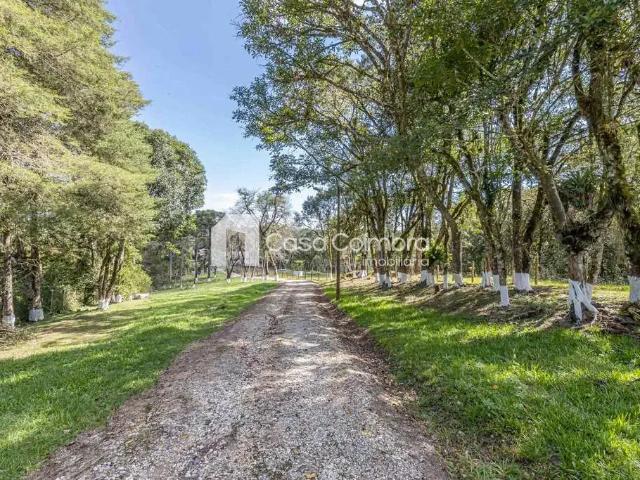 Sítio / Chácara para Venda em Campina Grande do Sul/PR Zona Rural 4 Quartos