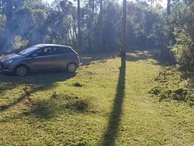 Sítio / Chácara para Venda em Campina Grande do Sul/PR Zona Rural