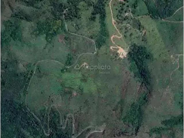 Sítio / Chácara para Venda em Campina Grande do Sul/PR Zona Rural