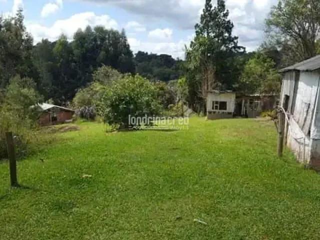 Sítio / Chácara para Venda em Campina Grande do Sul/PR Zona Rural