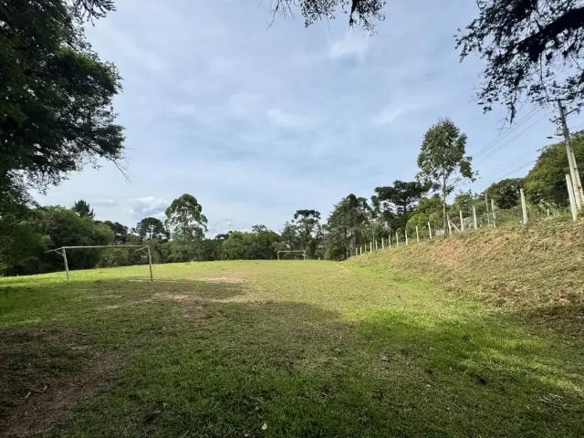 Sítio / Chácara para Venda em Campina Grande do Sul/PR Zona Rural