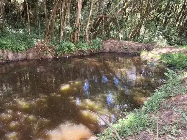 Sítio / Chácara para Venda em Campina Grande do Sul/PR Zona Rural 1 Quartos