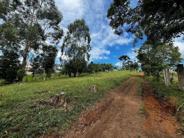 Sítio / Chácara para Venda em Campina Grande do Sul/PR Zona Rural