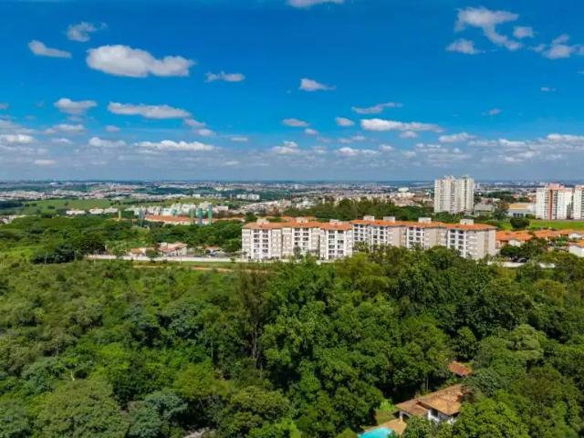 Sítio / Chácara para Venda em Campinas/SP Vila Ipê
