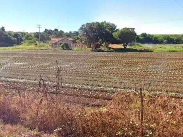 Sítio / Chácara para Venda em Campinas/SP Conjunto Habitacional Residencial Olímpia 3 Quartos