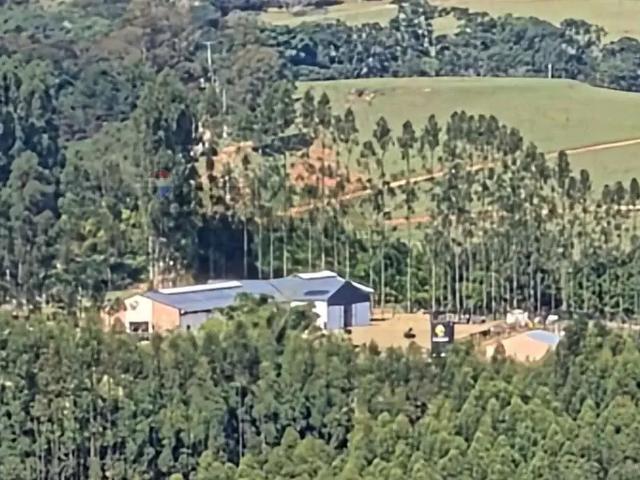 Sítio / Chácara para Venda em Campinas/SP Joaquim Egídio