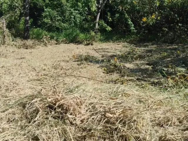 Sítio / Chácara para Venda em Campinas/SP Loteamento Chácaras Gargantilhas