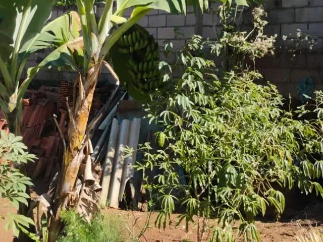 Sítio / Chácara para Venda em Campinas/SP Loteamento Chácaras Gargantilhas