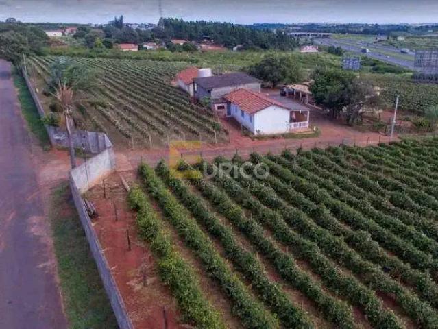 Sítio / Chácara para Venda em Campinas/SP Reforma Agrária 8 Quartos