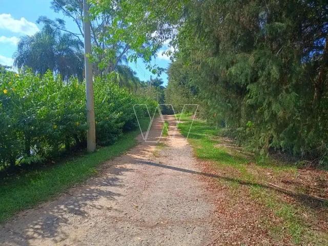 Sítio / Chácara para Venda em Campinas/SP Sousas 1 Quartos
