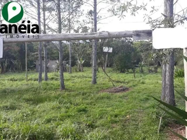Sítio / Chácara para Venda em Cananéia/SP Bairro Iririaia Mirim
