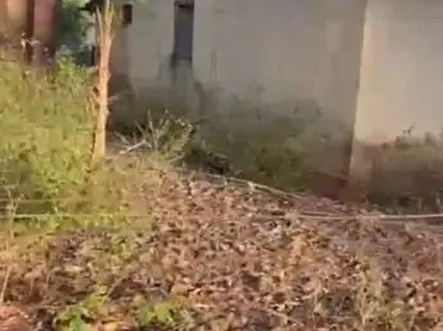 Sítio / Chácara para Venda em Canápolis/MG Zona Rural