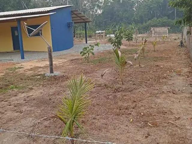 Sítio / Chácara para Venda em Candeias do Jamari/RO Área Rural de Candeias do Jamari