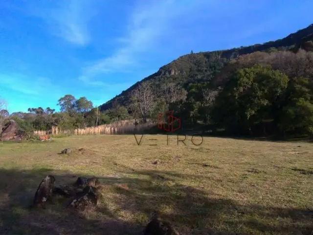 Sítio / Chácara para Venda em Canela/RS Eugênio Ferreira 8 Quartos