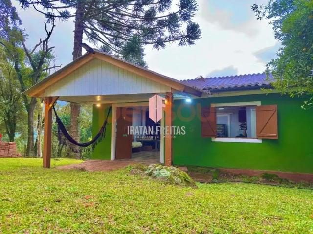 Sítio / Chácara para Venda em Canela/RS Linha São Paulo 2 Quartos