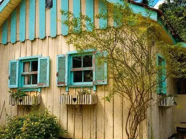 Sítio / Chácara para Venda em Canela/RS Linha São Paulo 3 Quartos