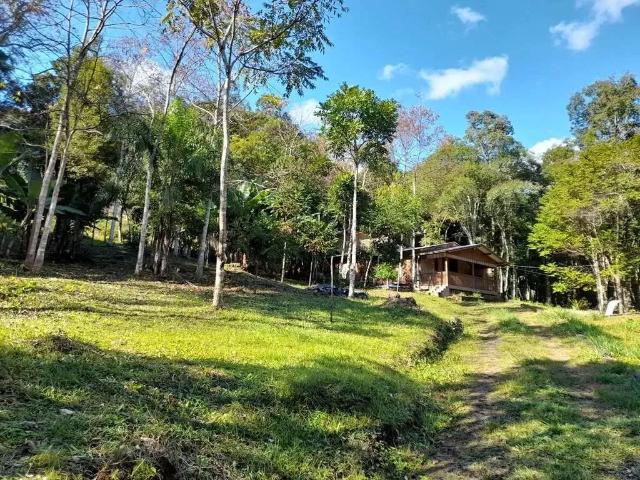Sítio / Chácara para Venda em Canela/RS Linha São Paulo 4 Quartos