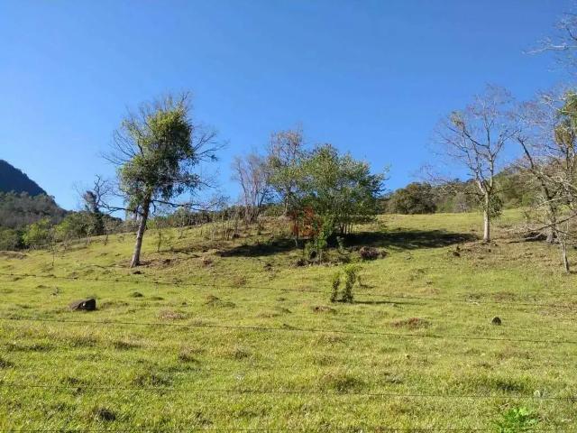 Sítio / Chácara para Venda em Canela/RS Morro Calçado 4 Quartos