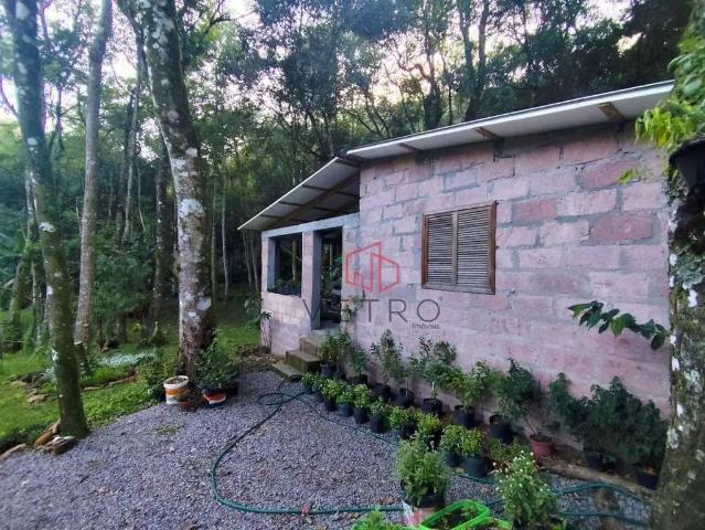 Sítio / Chácara para Venda em Canela/RS Zona Rural