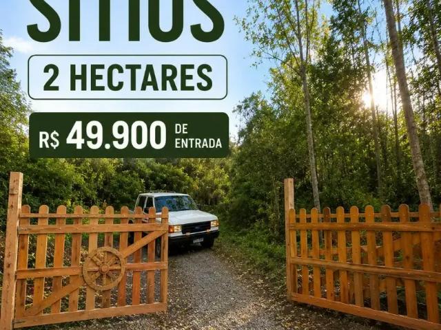 Sítio / Chácara para Venda em Canela/RS Zona Rural