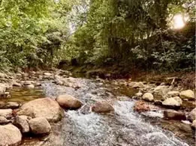 Sítio / Chácara para Venda em Canelinha/SC Galera 2 Quartos