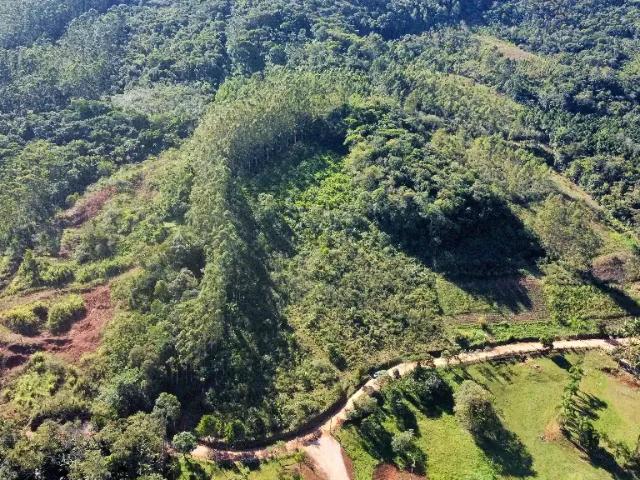 Sítio / Chácara para Venda em Canelinha/SC Moura
