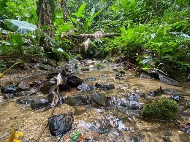 Sítio / Chácara para Venda em Canelinha/SC Moura