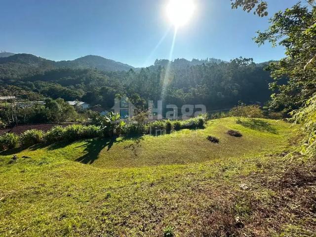 Sítio / Chácara para Venda em Canelinha/SC Zona Rural