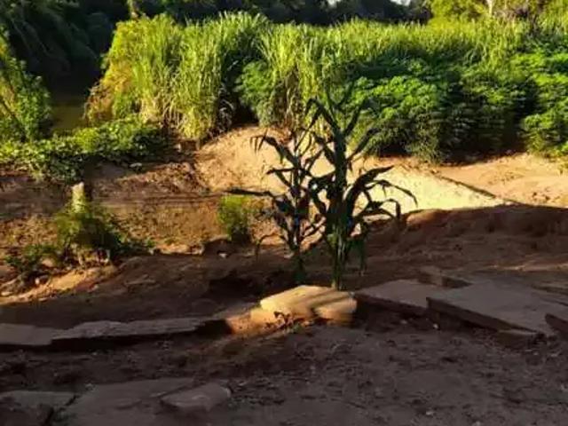 Sítio / Chácara para Venda em Capela de Santana/RS Centro