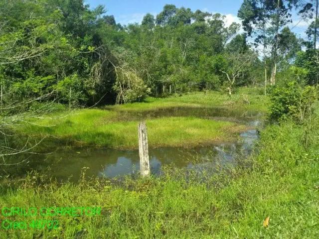 Sítio / Chácara para Venda em Capela de Santana/RS Centro