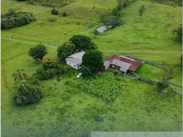 Sítio / Chácara para Venda em Capela de Santana/RS Progresso