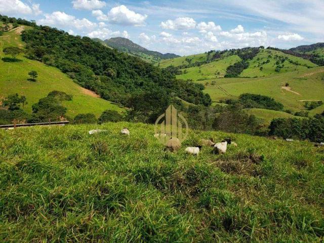 Sítio / Chácara para Venda em Capitólio/MG Zona Rural