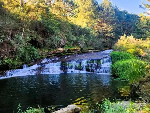 Sítio / Chácara para Venda em Carambeí/PR Centro 4 Quartos