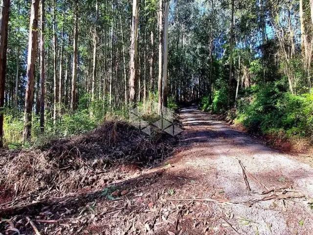 Sítio / Chácara para Venda em Carlos Barbosa/RS Arcoverde