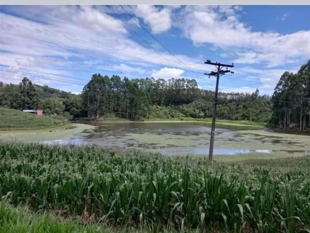 Sítio / Chácara para Venda em Carlos Barbosa/RS Santa Luiza