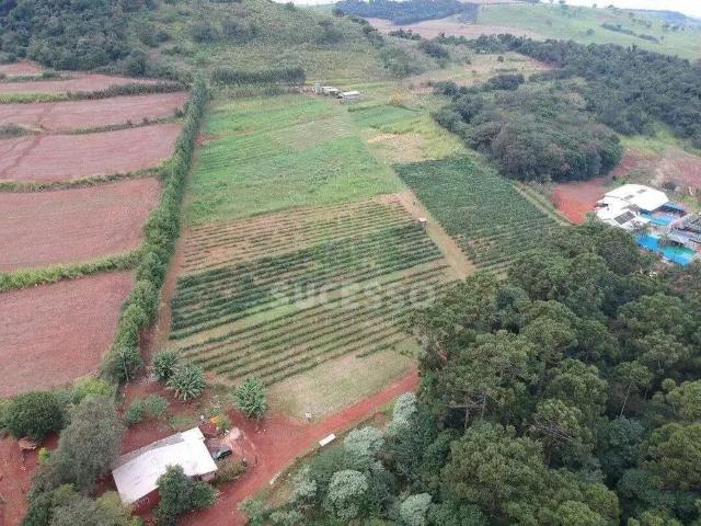 Sítio / Chácara para Venda em Cascavel/PR Zona Rural