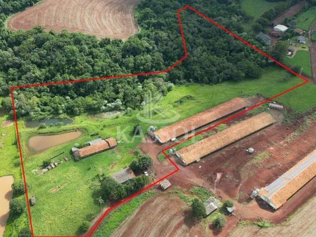 Sítio / Chácara para Venda em Cascavel/PR Zona Rural