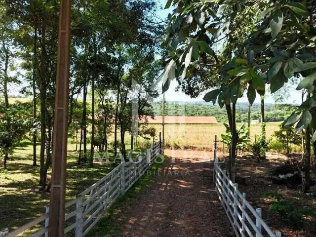 Sítio / Chácara para Venda em Cascavel/PR Cascavel Velho