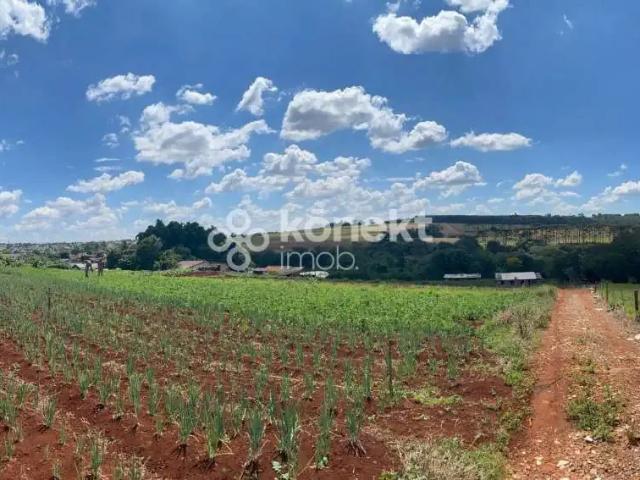 Sítio / Chácara para Venda em Cascavel/PR Floresta