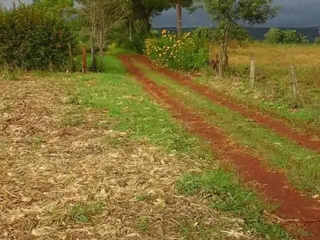Sítio / Chácara para Venda em Cascavel/PR Rio Do Salto