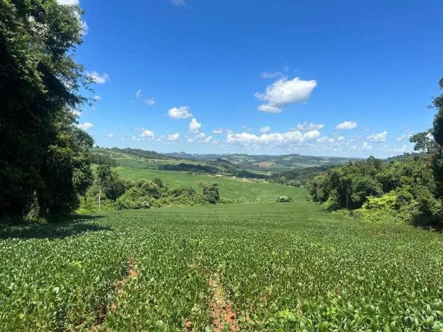 Sítio / Chácara para Venda em Cascavel/PR Rio Do Salto 1 Quartos