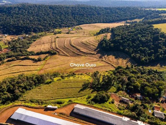 Sítio / Chácara para Venda em Cascavel/PR Rio Do Salto