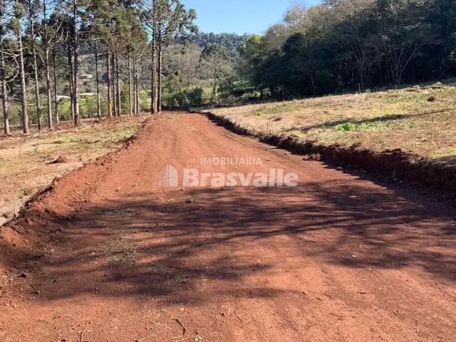 Sítio / Chácara para Venda em Cascavel/PR São Salvador