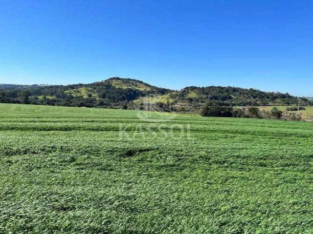 Sítio / Chácara para Venda em Cascavel/PR Zona Rural