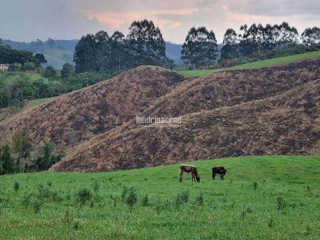 Sítio / Chácara para Venda em Castro/PR Áreal Rural de Castro