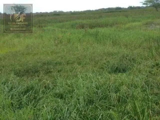 Sítio / Chácara para Venda em Ceará Mirim/RN Centro 3 Quartos