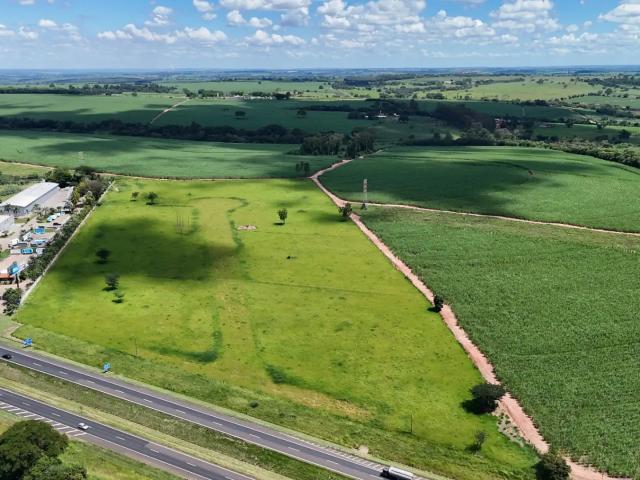 Sítio / Chácara para Venda em Cedral/SP Zona Rural