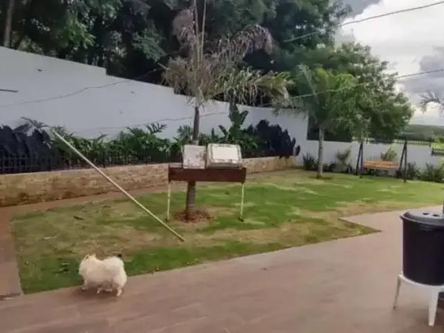 Sítio / Chácara para Venda em Cedral/SP Zona Rural 3 Quartos
